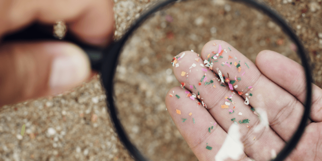 Microplastics in Your Food and How to Protect Your Body – Catholic ...