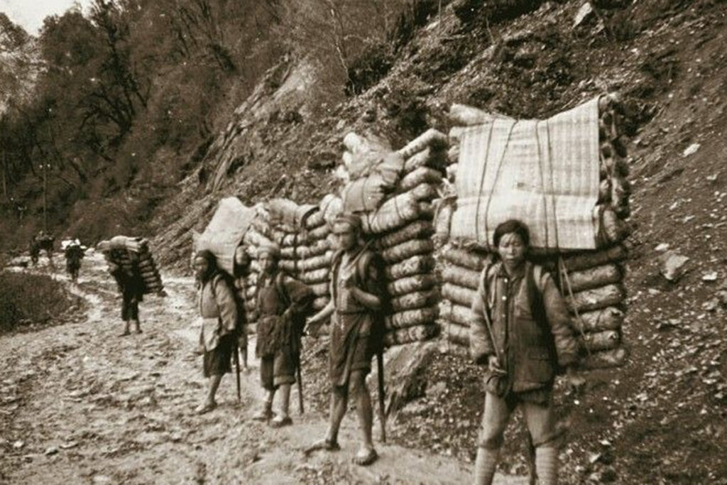 The Hidden Trail of Tea and War: Uncovering the Ancient Tea Horse Road ...