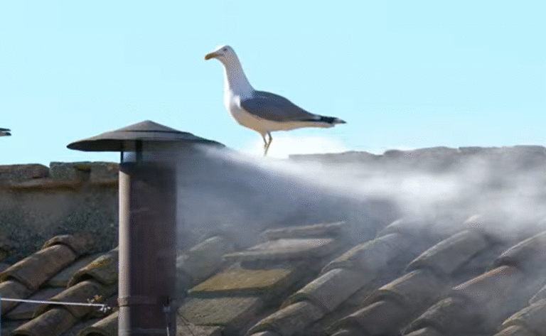 Pope Leo XIV to Move into Historic Papal Apartment, Departing from ...