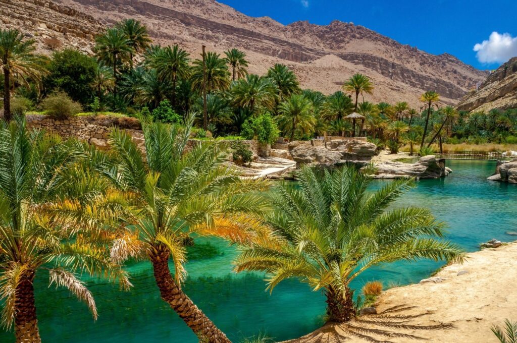 The Road From Jericho to Beth El: Rediscover this Famous Biblical Route ...