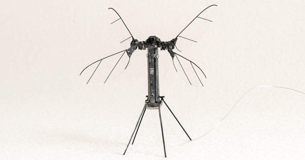 The Rise of Mosquito Drones: A New Threat to Human Dignity and Privacy? – Catholic Online News