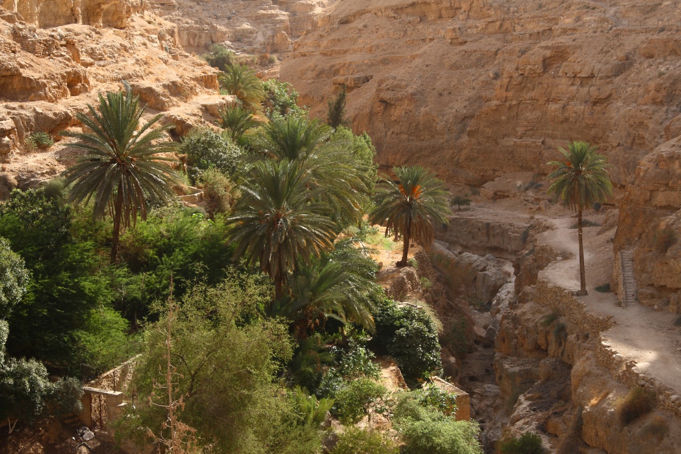The Road From Jericho to Beth El: Rediscover this Famous Biblical Route ...