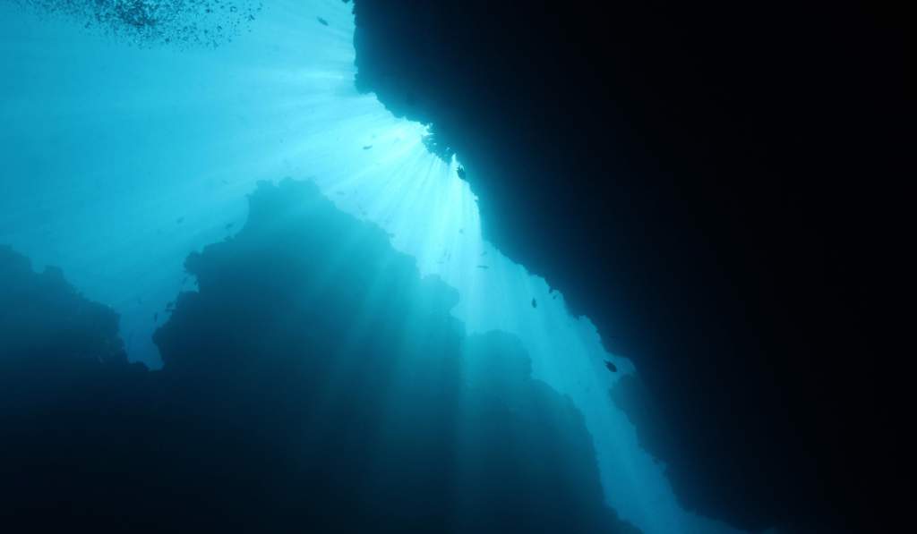 The Deep Sea’s Hidden Graveyard Reveals a Lesson in Creation’s Mystery ...